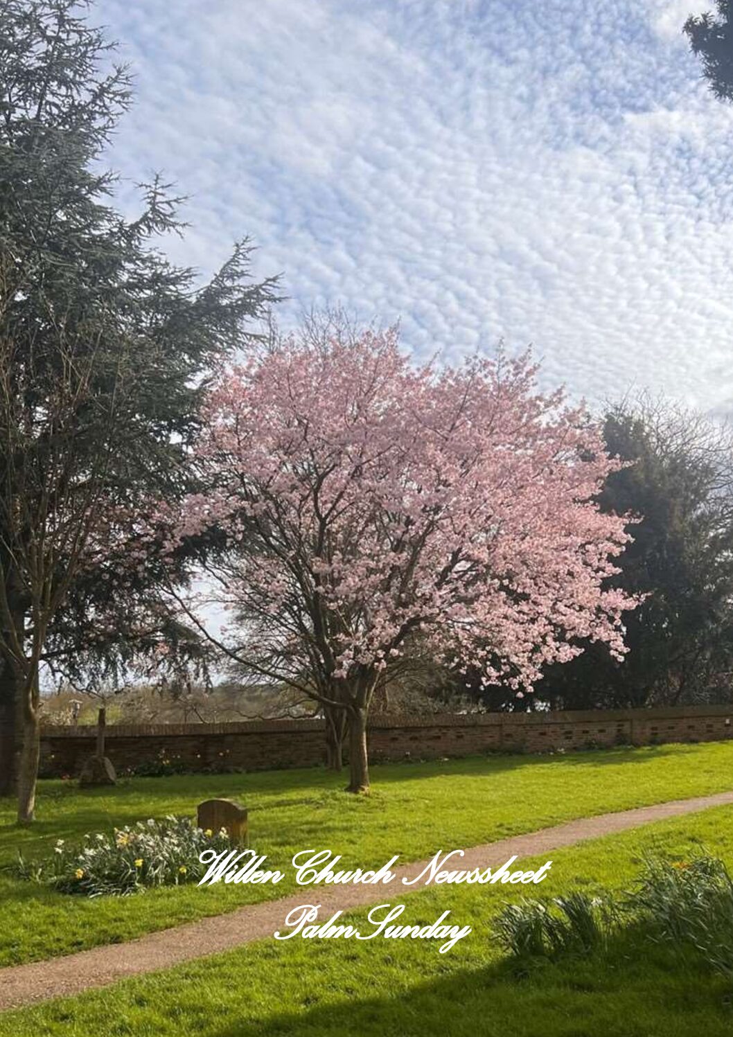 Willen 2024 03 24 B17 Palm Sunday - Stantonbury Ecumenical Partnership